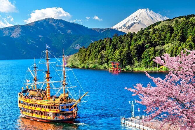 The Shogun Tour in Tokyo - Analyzing the Value: Is It Worth the Price?