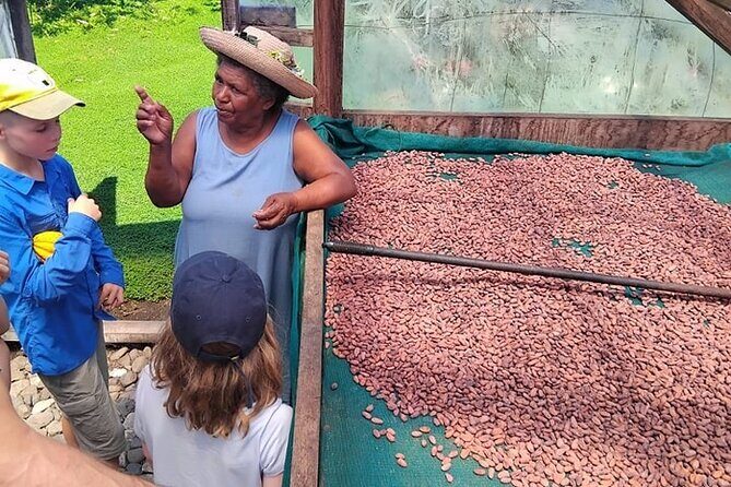 The Solomon Chocolate trail - An In-Depth Look at the Solomon Chocolate Trail