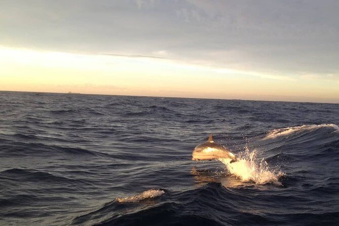 The Soul Of Pirates Boat Trip Adventure Caribbean Charter Full Day SXM - Final Words