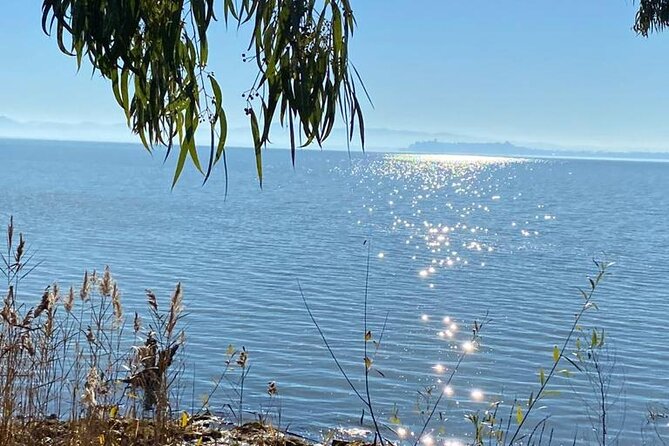 The spell of Lake Trasimeno - Trekking Tour - Exploring the Itinerary in Detail