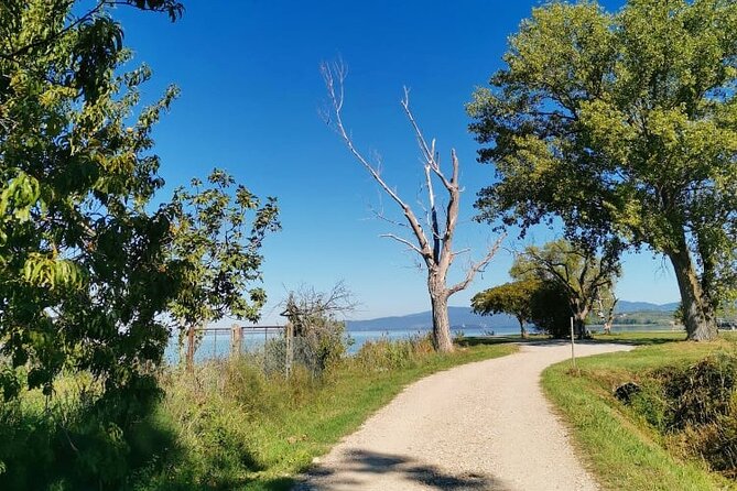 The spell of Lake Trasimeno - Trekking Tour - Authenticity and Traveler Feedback