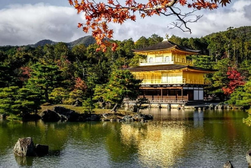The Spirit of Tokyo: Past, Present, Forever In A Guided Tour - Practical Considerations