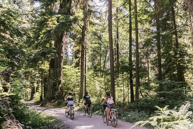 The Stanley Park Bicycle Tour by Cycle City Tours - An In-Depth Look at the Tour