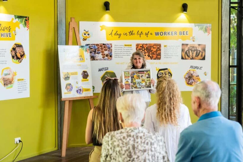 The Sunshine Coast: The Ginger Factory Play Taste & Discover - Authentic Experiences and Authenticity