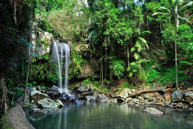 The Tastes of Tamborine Mountain - Key Points