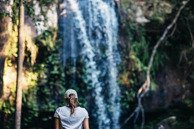 The Tastes of Tamborine Mountain - Authenticity and the Experience