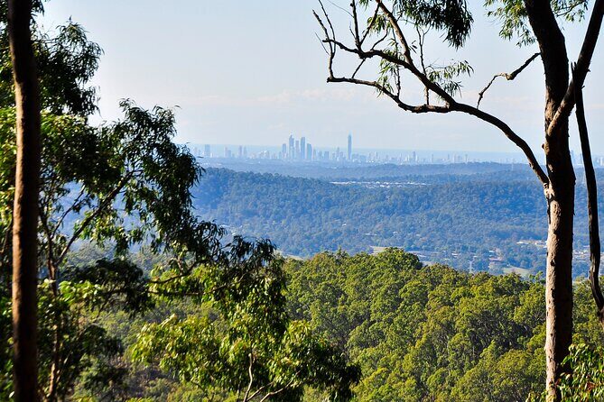 The Tastes of Tamborine Mountain - FAQ