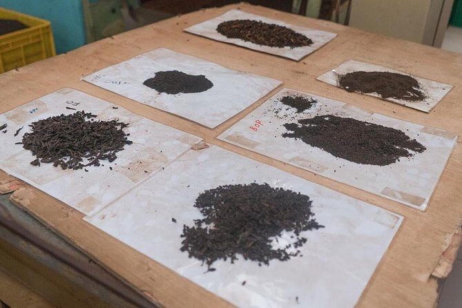 The Tea Hubs of Srilanka - FAQs