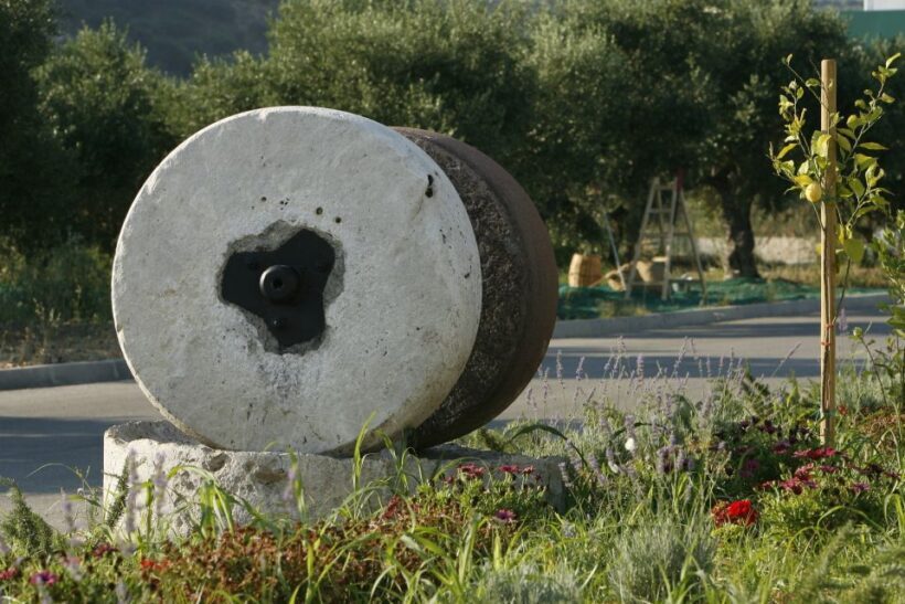 The Terra Creta Olive Oil Experience Tour - Practical Details and Value