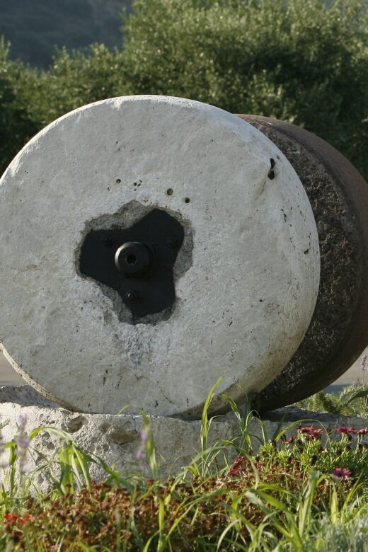 The Terra Creta Olive Oil Experience Tour - The Sum Up