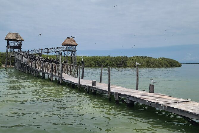 The Three Islands Tour Explore Holbox's Natural Wonders - Frequently Asked Questions