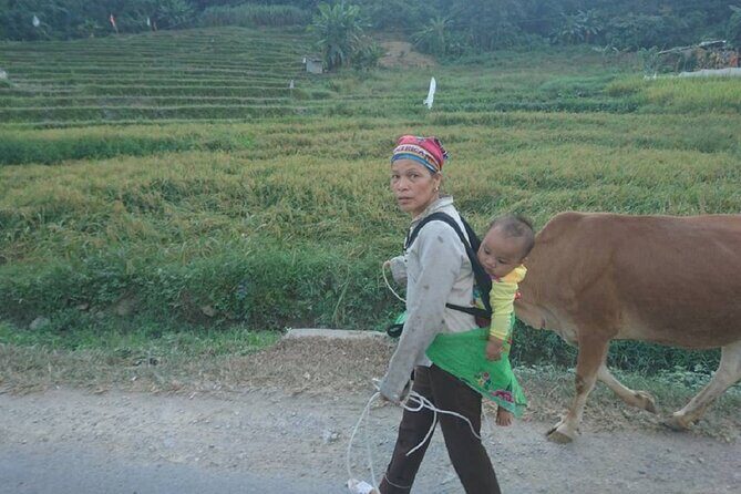 The Top Ha Giang Motorbike Tours All-Inclusive - Who Is This Tour Best For?