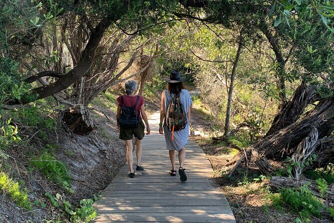 The Top Ten Hidden Harbour Beaches Tour with Jen - Authentic Experiences and Local Stories