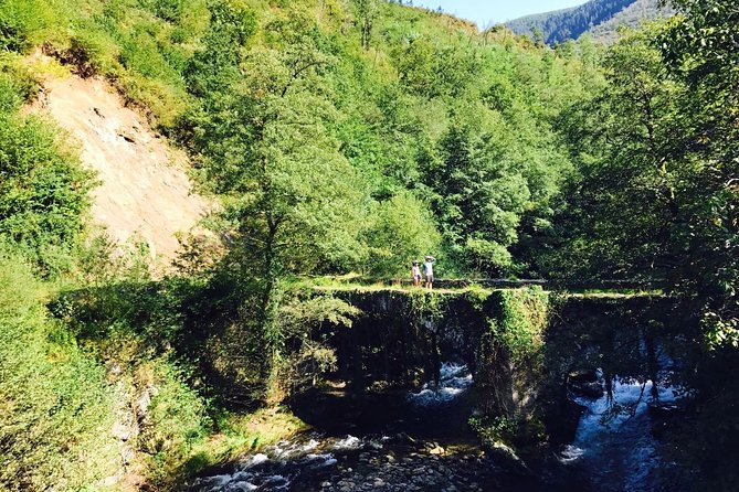 The Train Track Trail Mountain Bike Ride - Private Experience - Enjoy the Basque Picnic Lunch