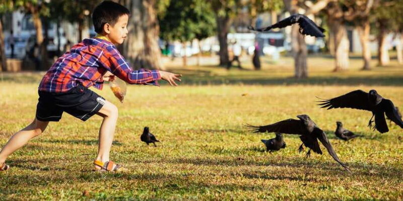 The True Essence of Colombo:Private Highlights & Hidden Gems - The Value Proposition