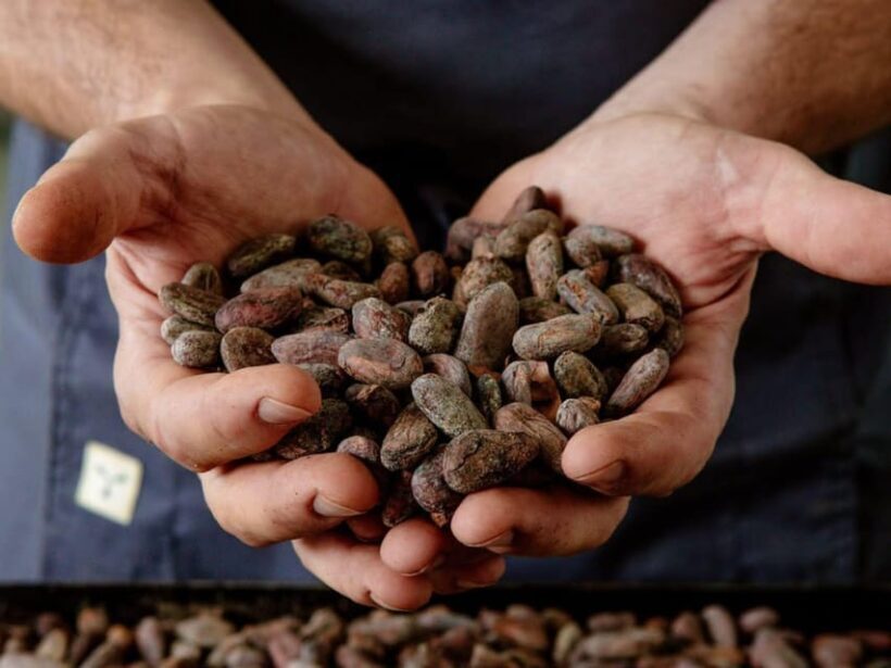 The Turin Chocolate Factory Guided Tour & Tasting - The Sum Up