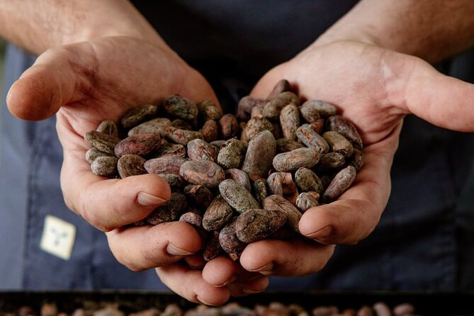 The Turin Chocolate Factory Guided Tour & Tasting - Who Will Love This Tour?