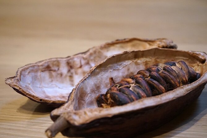 The Turin Chocolate Tasting Experience - Accessibility and Additional Information