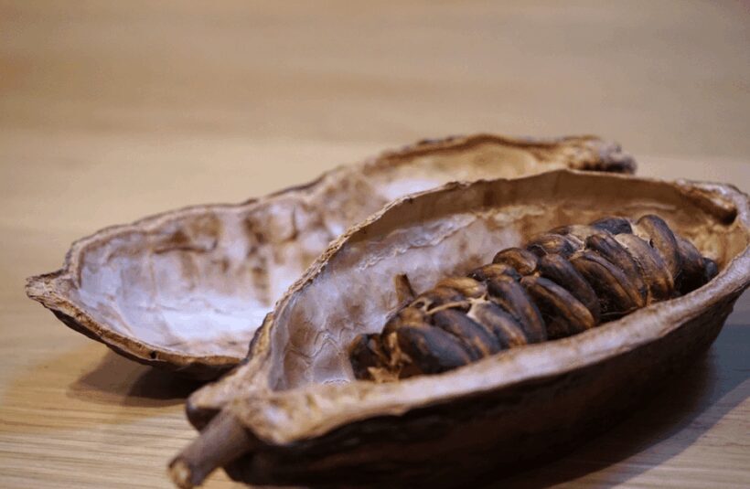 The Turin Chocolate & Wine Tasting Experience - Key Points