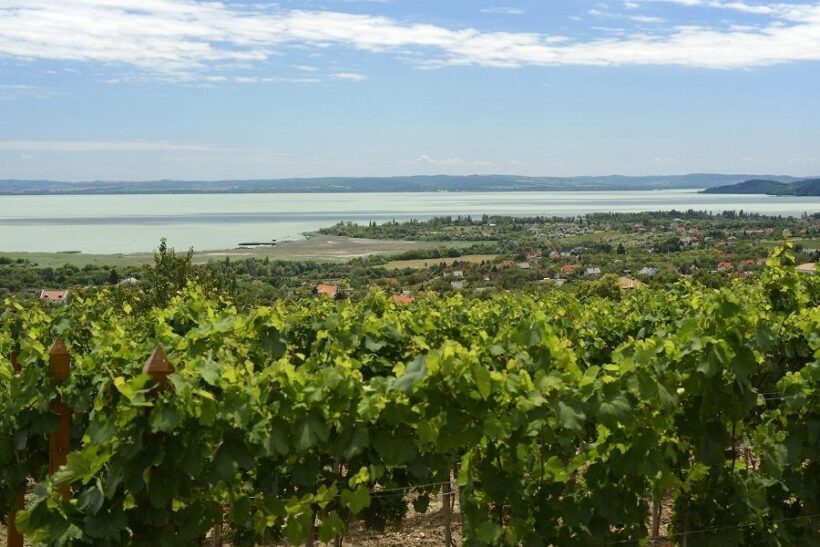 The Turquoise Sea of Hungary: Lake Balaton Private Tour - Final Thoughts