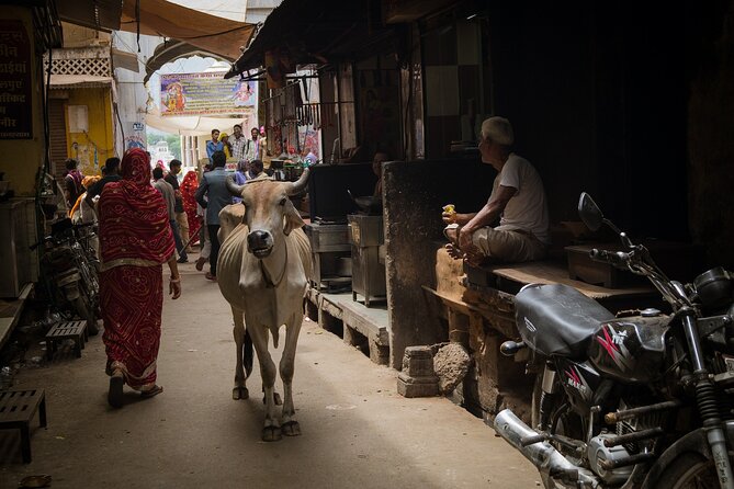The Ultimate 3 Days in Varanasi - How to Spend 39 Hours - For First Timers - Day 2: Deep Dive into Varanasi’s Spiritual Core