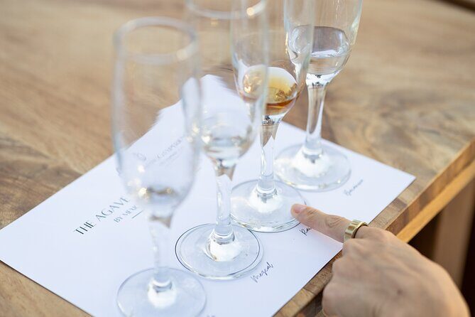 The Ultimate Agave Tasting with Tequila, Mezcal & more! - The Setting and Atmosphere