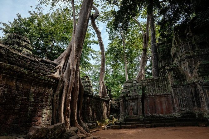 The Ultimate Angkor Wat Temple Private Day Trip - Final Thoughts: Is This Tour Right for You?