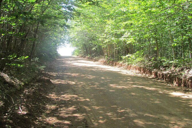 The Ultimate Anne of Green Gables Private Tour - Who Should Consider This Tour?