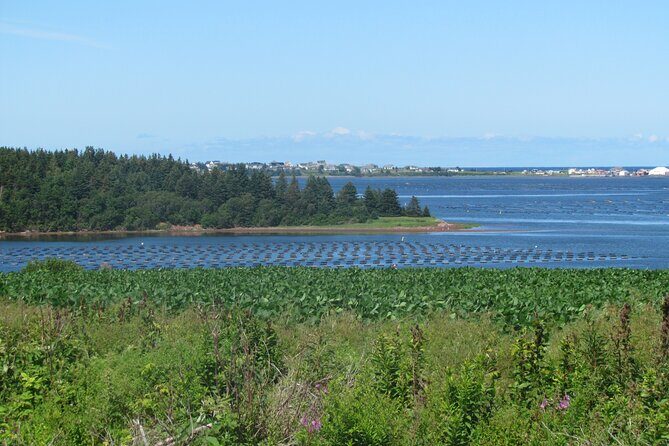 The Ultimate Anne of Green Gables Private Tour - FAQ
