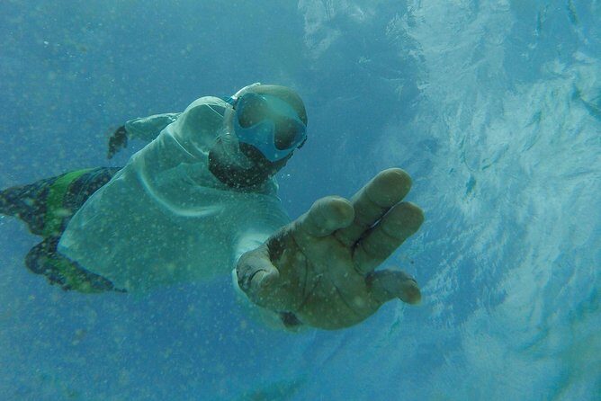 The ULTIMATE Bioluminescence night time adventure with Brandon - Practical Tips for Booking and Enjoying Your Night Tour