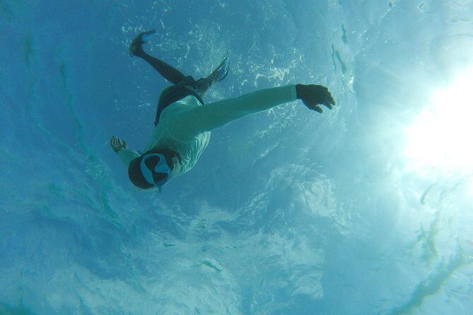 The ULTIMATE Bioluminescence night time adventure with Brandon - The Sum Up