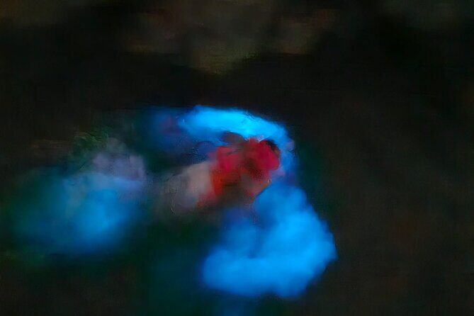 The ULTIMATE Bioluminescence night time adventure with Brandon - FAQ
