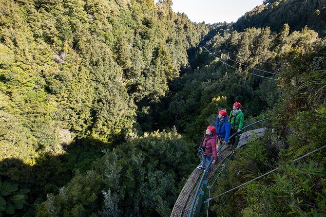 The Ultimate Canopy Zipline Experience Private Tour From Auckland - An In-Depth Look at the Experience