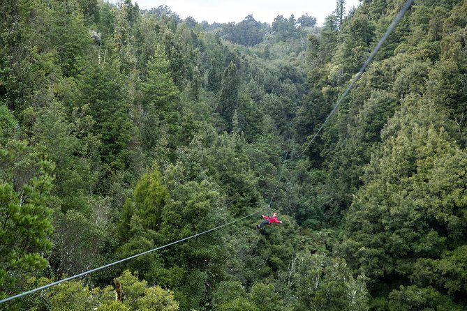 The Ultimate Canopy Zipline Experience Private Tour From Auckland - Who Should Consider This Tour?