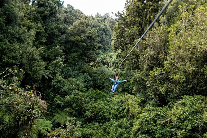 The Ultimate Canopy Zipline Experience Private Tour From Auckland - FAQ