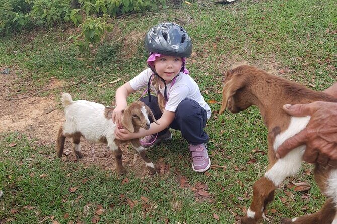 The Ultimate Dominican Horseback Riding Adventure - An Introduction to the Tour