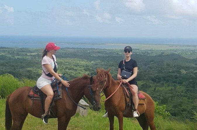 The Ultimate Dominican Horseback Riding Adventure - Who Will Love This Tour?