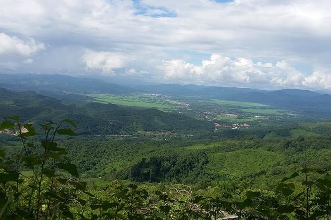 The Ultimate Hikers Choice - 5 days forest trek with homestay and camping - Second Day: Deep into the Forest