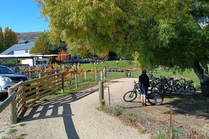 The Ultimate Lake Dunstan Bike Hire And Boat Experience - A Deep Dive Into the Lake Dunstan Experience