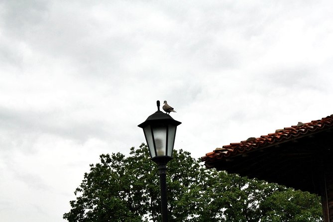 The Ultimate Private Zheravna Walking Tour - Key Points