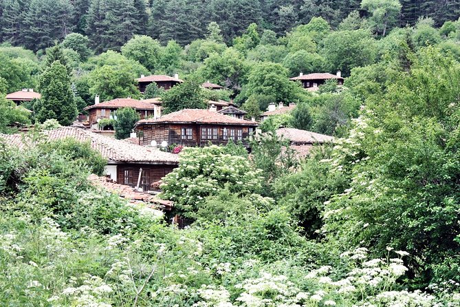 The Ultimate Private Zheravna Walking Tour - What Reviewers Say