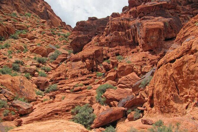 The Ultimate Red Rock Canyon Scenic Experience - Authentic Experiences and Highlights