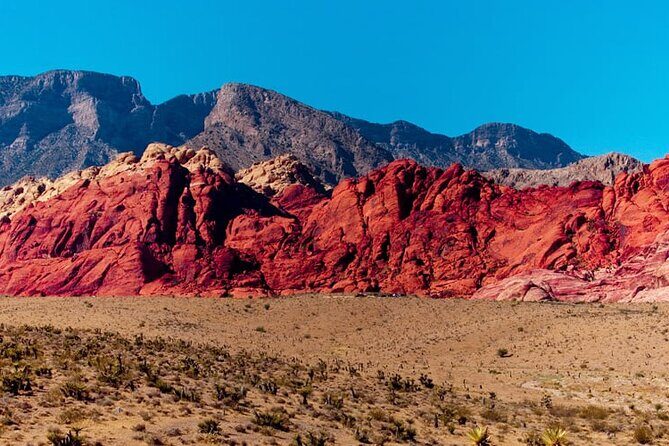 The Ultimate Red Rock Canyon Scenic Experience - Who Will Love This Tour?