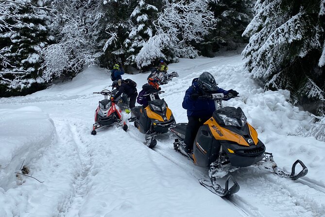 The Ultimate Snowmobile Adventure - 7 Rila Lakes & Panichishte - Price and Value