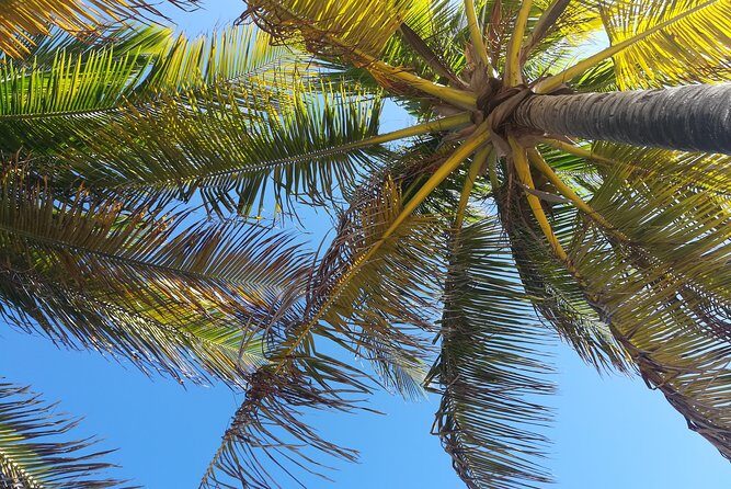 The Ultimate St. Lucian Experience Tour for Cruise ship Passengers - Final Thoughts