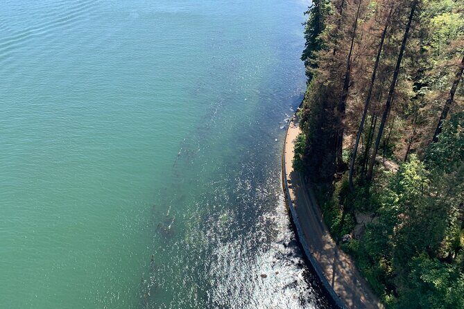 The Ultimate Stanley Park E-Bike Tour - Final Thoughts: Who Should Book This Tour?