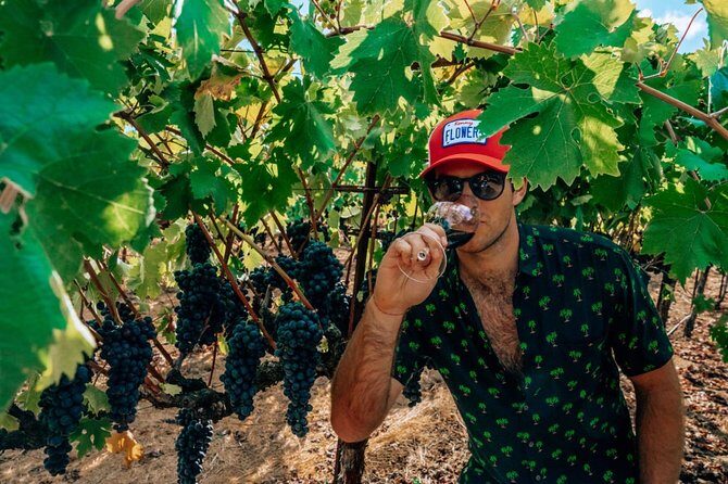 The Ultimate Wine Country Experience (Private & All-Inclusive) - Authentic Experiences