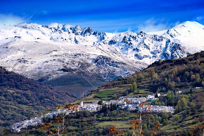 The Unchanged Villages of Alpujarra Small-Group Guided Day Trip - An In-Depth Look at the Itinerary