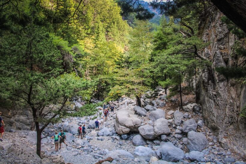 The Unique Tour of Samaria Gorge - The Itinerary: Step by Step