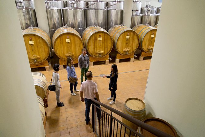 The Valpolicella food & wine driving tour: cheese factory+ winery - The Sum Up: Is It Worth It?